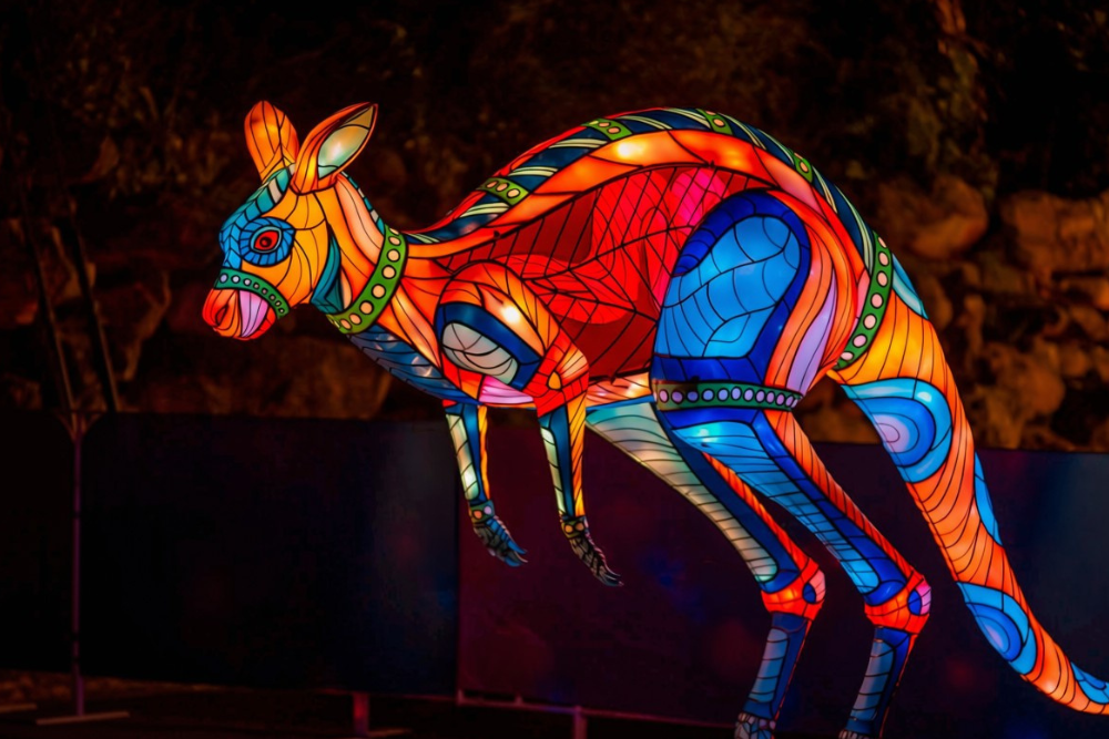 Botanic By Night Nightglow Brisbane Botanic Gardens Mt Coot Tha Must